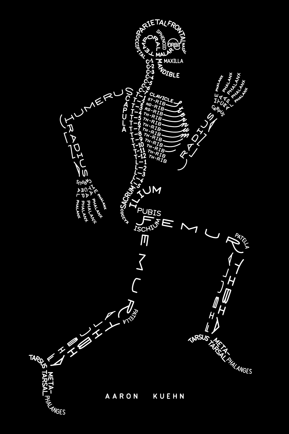 Bone up on anatomy with the Skeleton Typogram - Alltop Viral