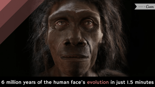 6 million years of the human face's evolution in just 1.5 minutes ...