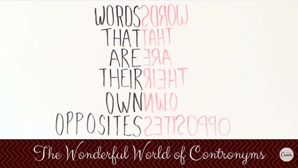 The wonderful world of words that are their own opposites [video ...