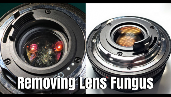 How to remove fungus from the inside of a camera lens - Alltop Viral